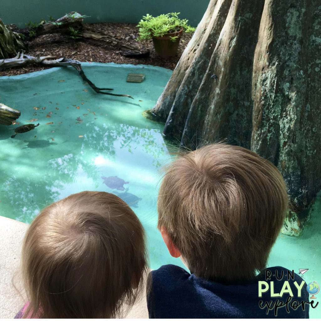 Homeschool Field Trips - Run Play Explore